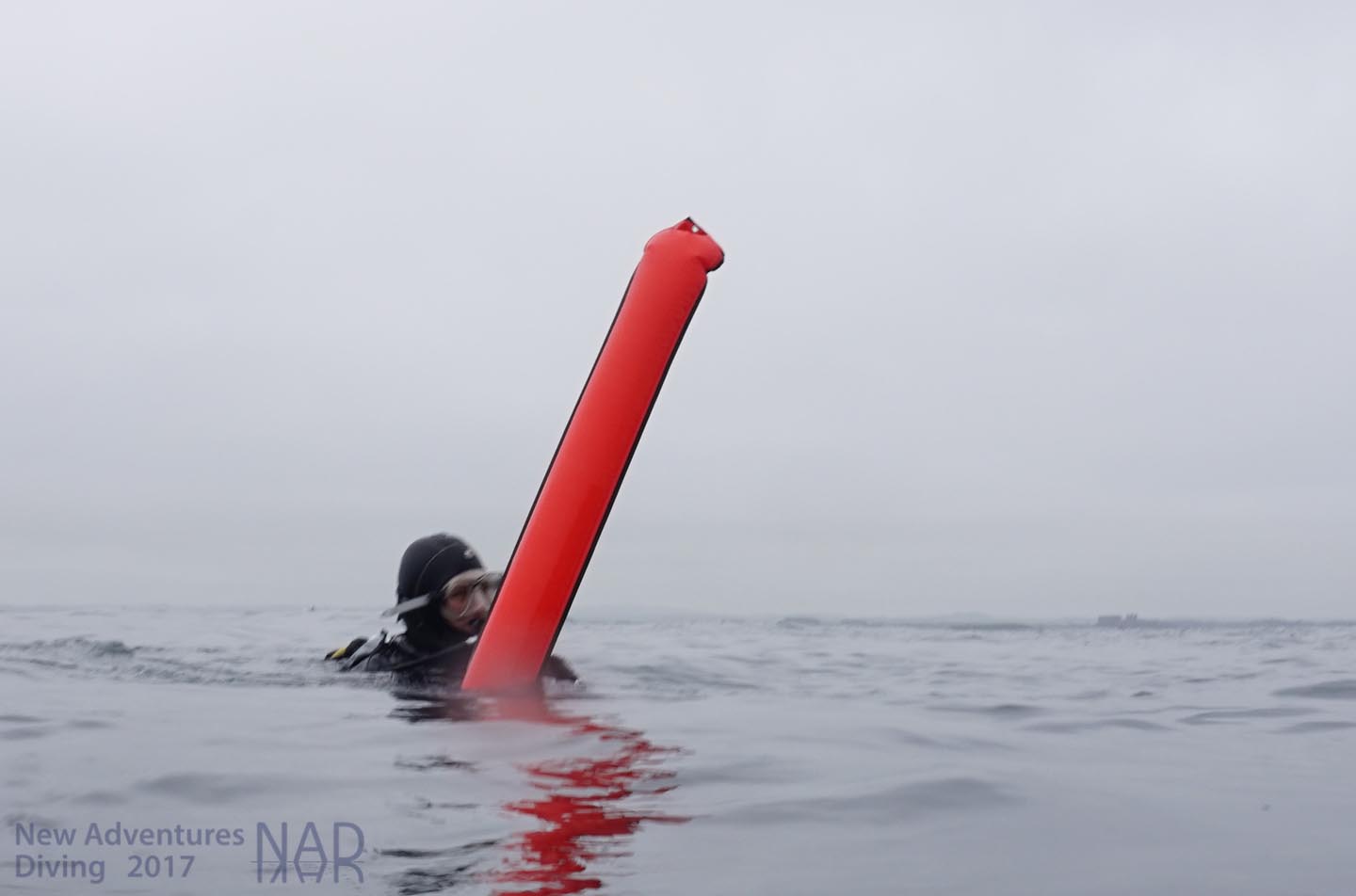 Further Education diving courses with New Adventures Diving